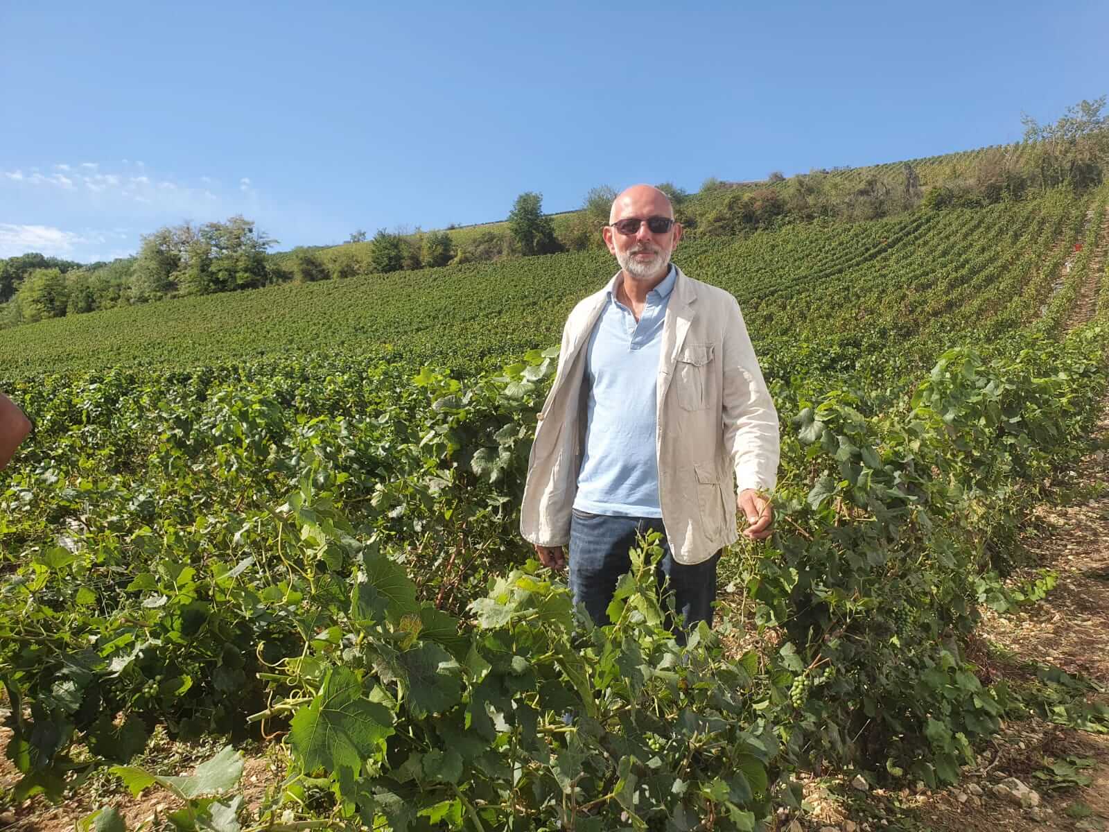 Champagne : Le collectif au service de la qualité - Perrain selection